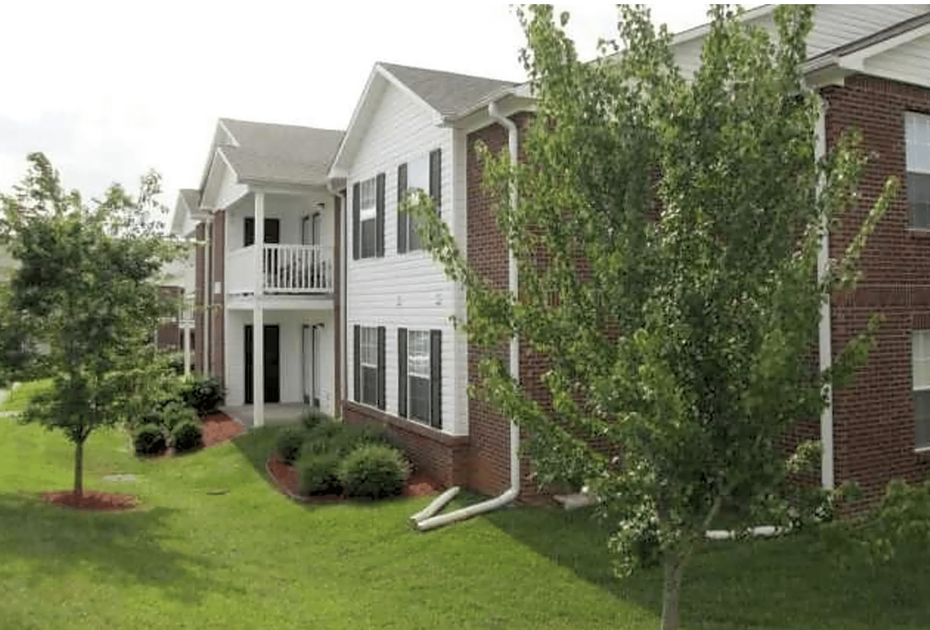 Home - Beaver Hollow